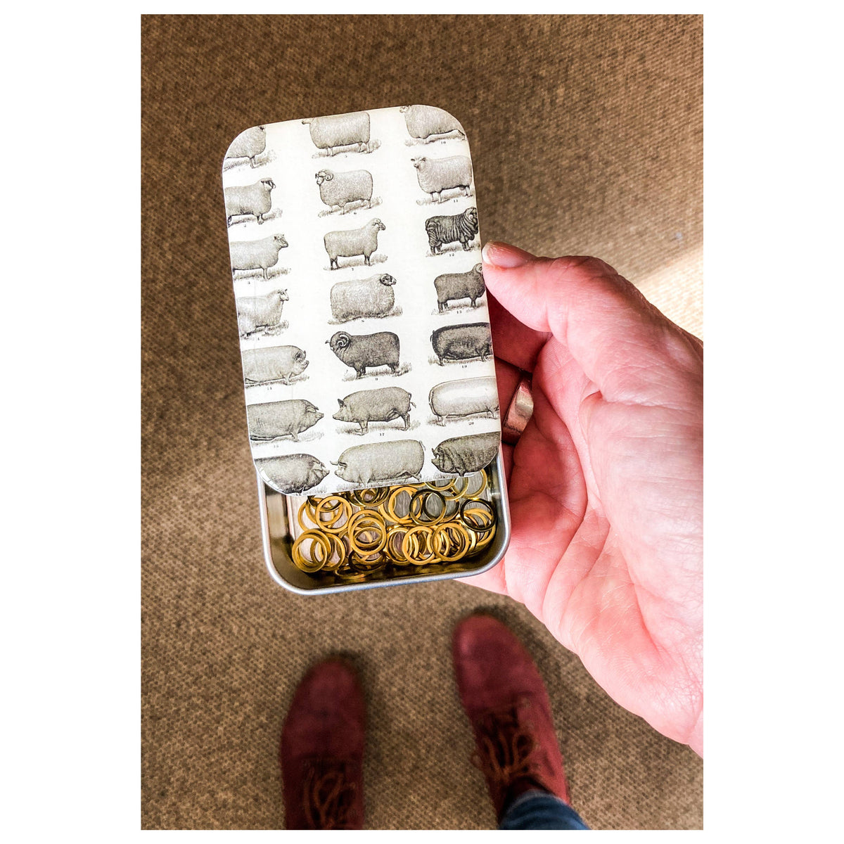 Sheep and Pigs Notions Tin: Large – Sweet Pea Fiber