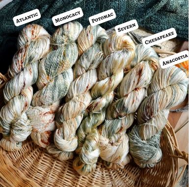 Sandy Point Organic Pima Cotton - Sport Weight – Sweet Pea Fiber